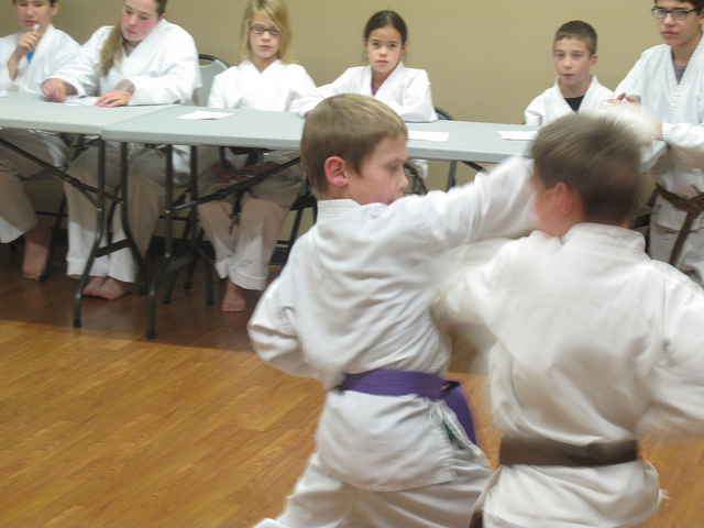 Photos - January 2012 Karate Testing